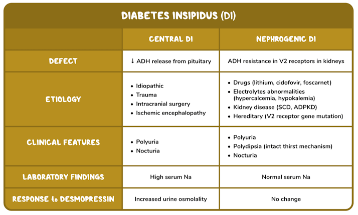 Central and Nephrogenic Diabetes Insipidus - MEDizzy