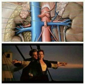 My favorite meme ever - MEDizzy