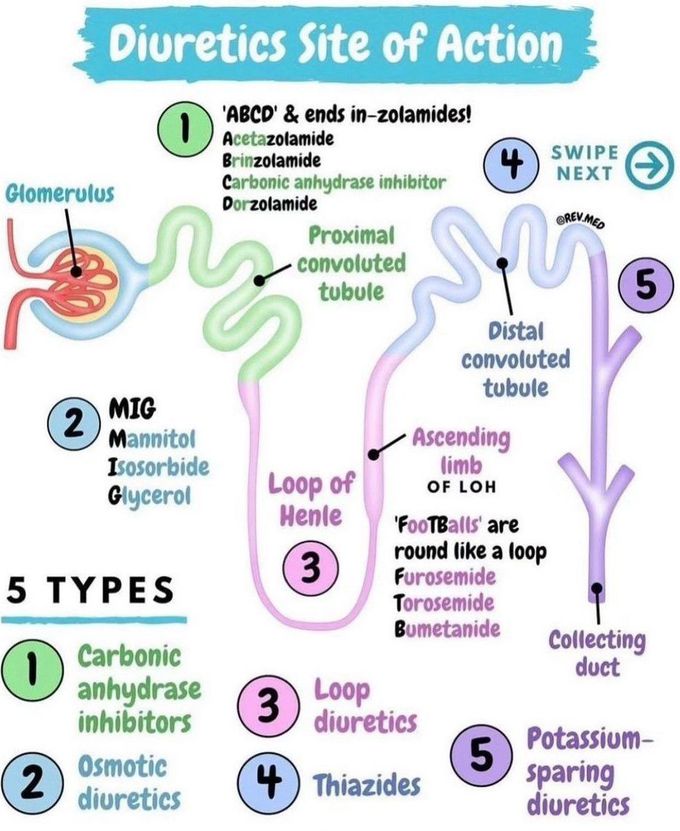 Diuretics - MEDizzy