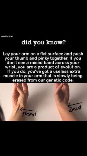 Did you know - MEDizzy