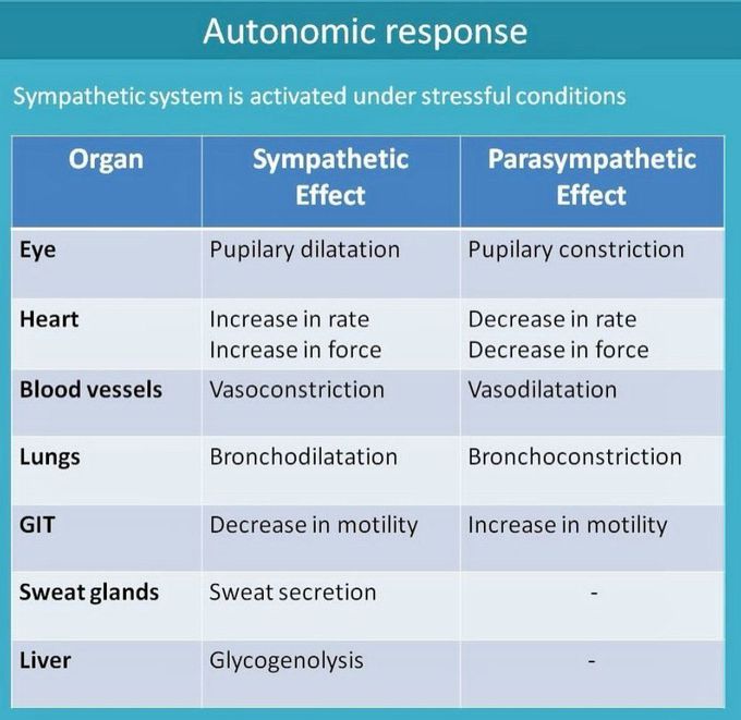 Autonomic Response - MEDizzy