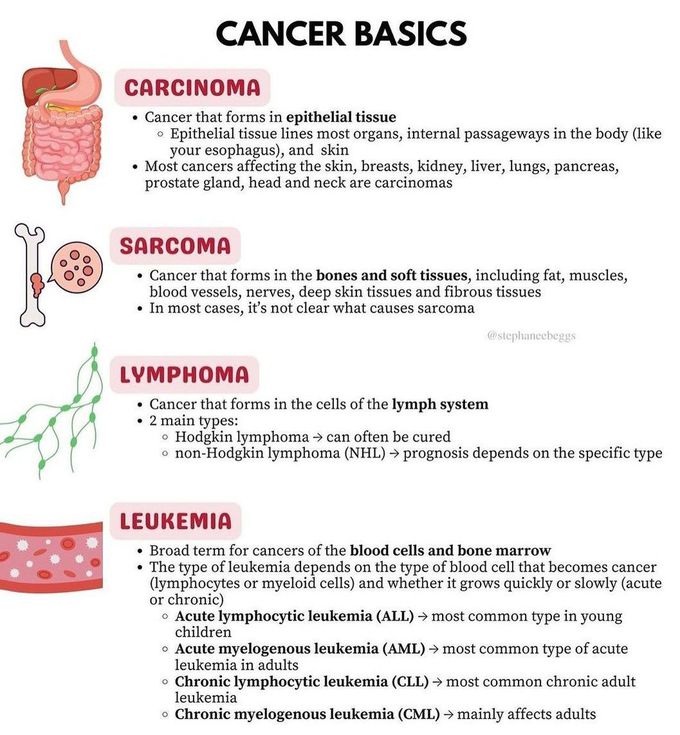 Cancer Basics - MEDizzy