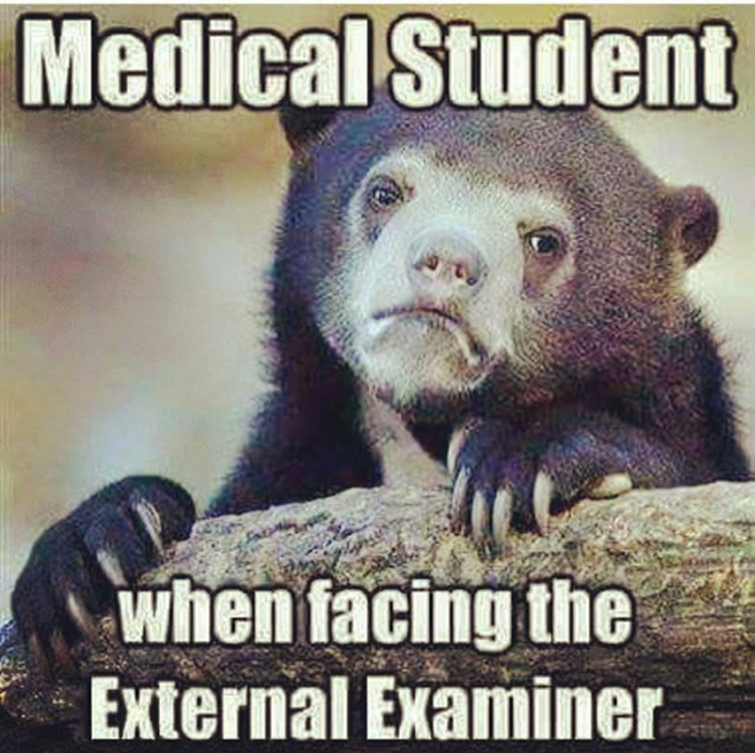 Lol.......... So true What do you think friends - MEDizzy