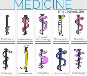 Doctor of different disciplines - MEDizzy