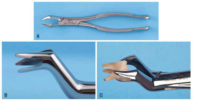 No 88L forceps - MEDizzy