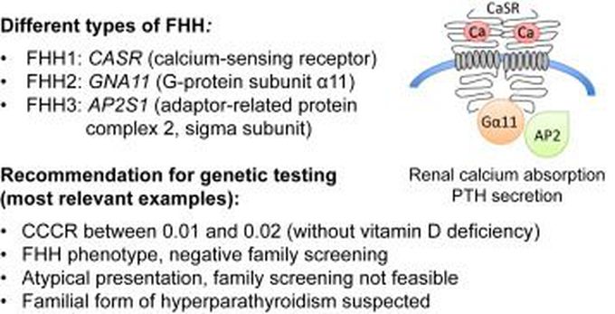 Types of Familial hypocalcemia hypercalcemia - MEDizzy