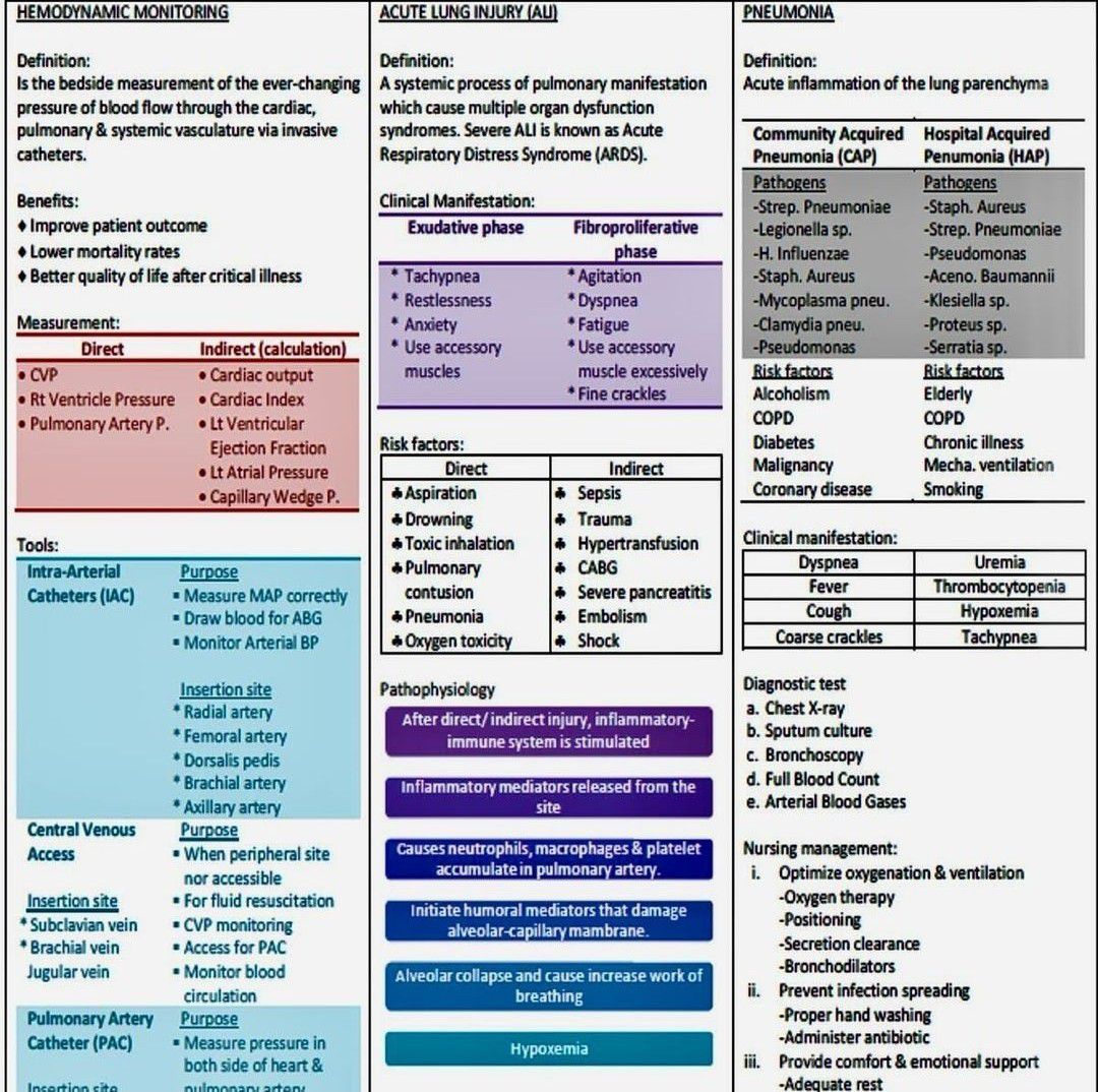 Review Sheet - MEDizzy
