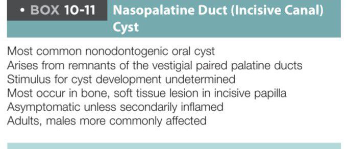 Nasopalatine duct cyst - MEDizzy