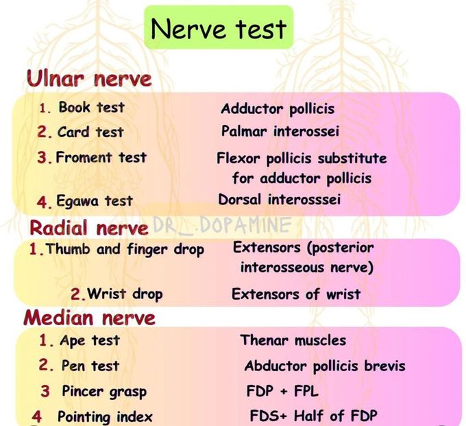 Nerve Test - MEDizzy