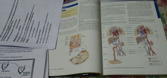 Nothing is better than anatomy - MEDizzy