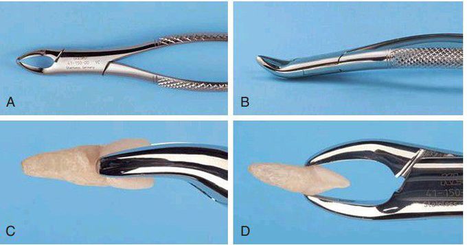 Maxillary forceps - MEDizzy