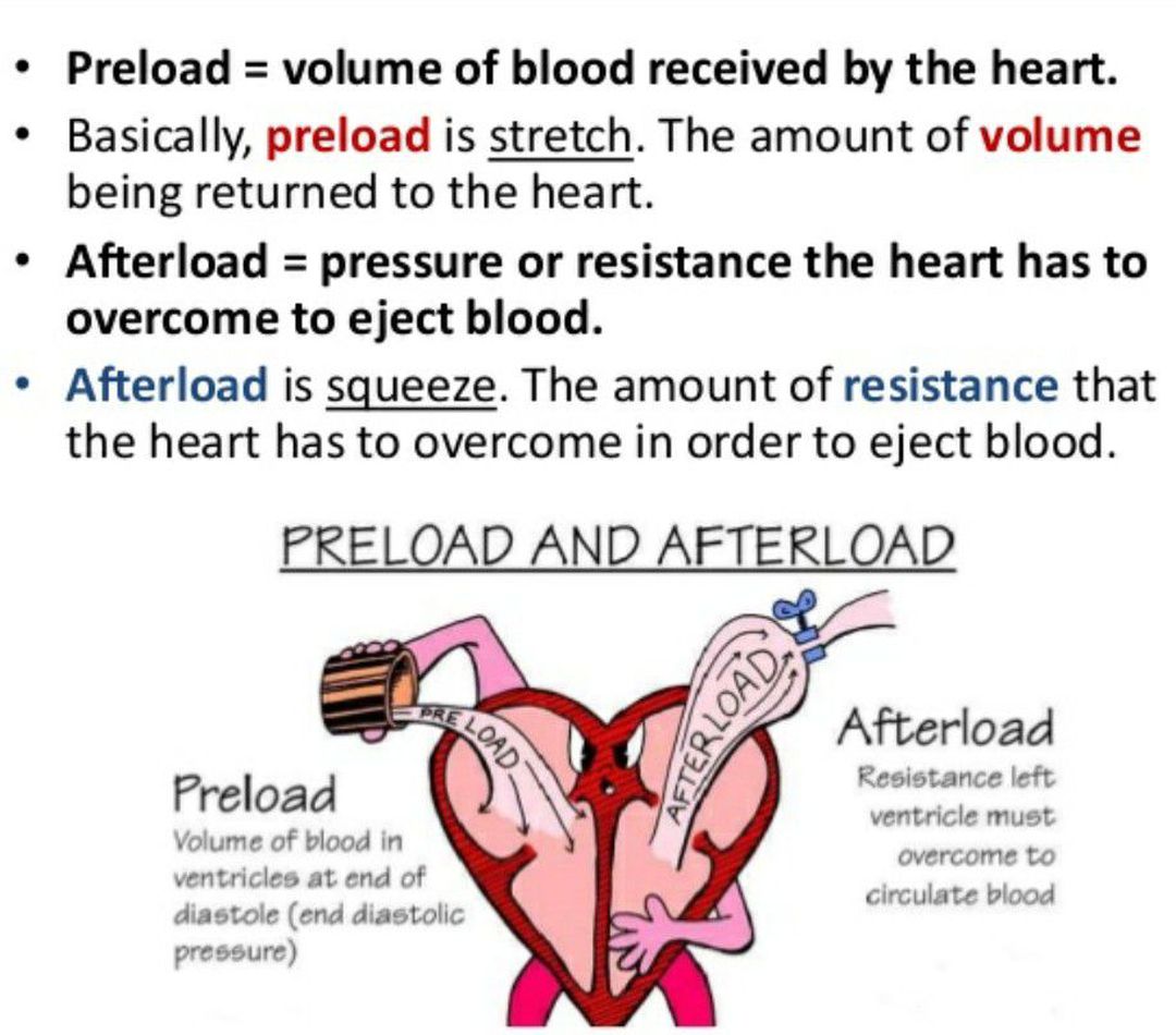 Difference Between PRELOAD and AFTERLOAD MEDizzy