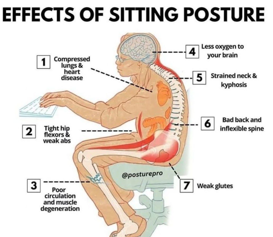 Effects of Sitting Posture - MEDizzy