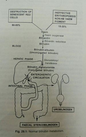 ###For easy to remember - MEDizzy