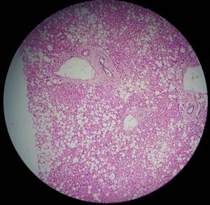 Pathology! - MEDizzy