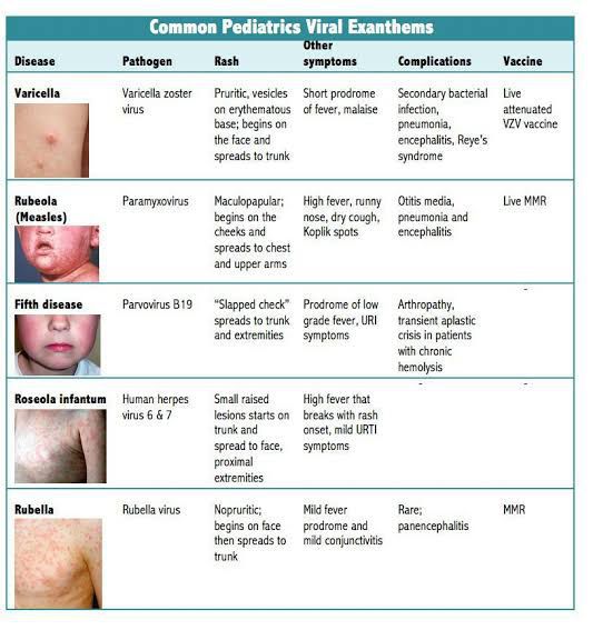 Common Pediatric Viral Exanthem MEDizzy