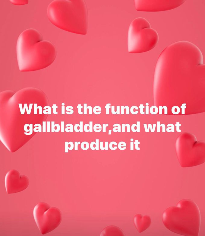 what-is-the-function-of-gallbladder-medizzy