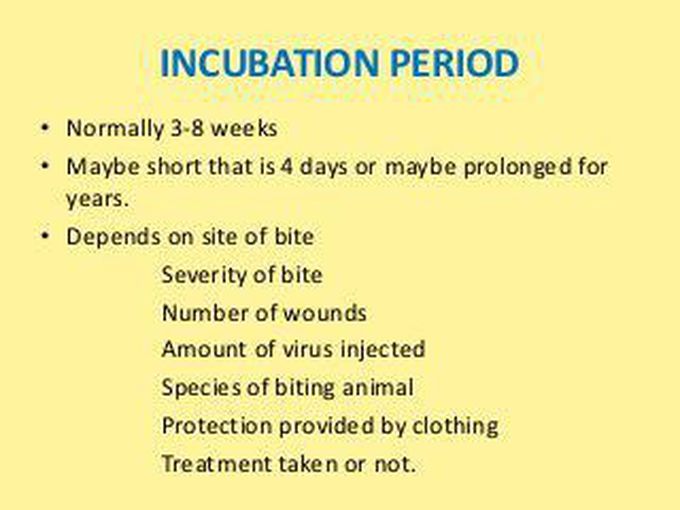 Incubation - MEDizzy