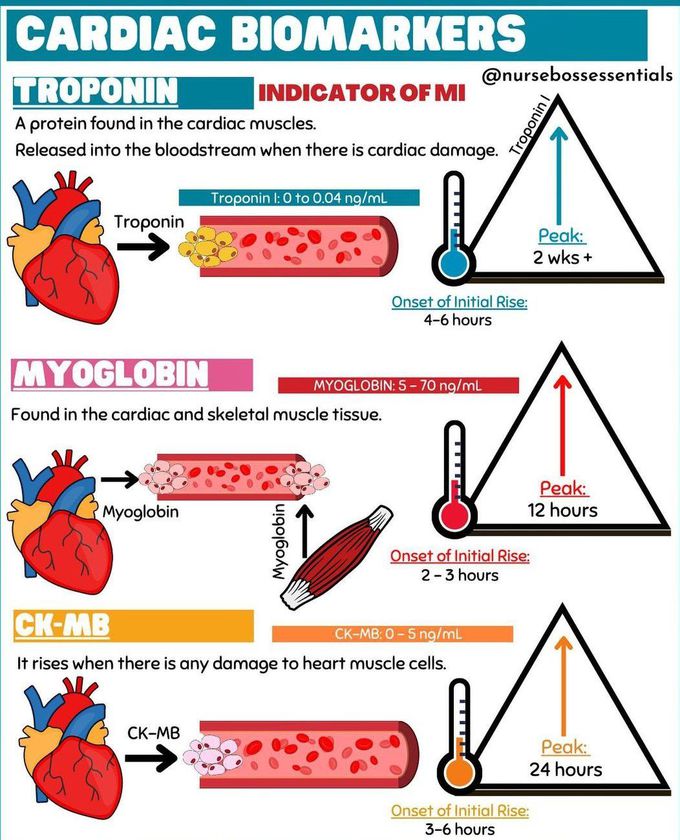 Cardiac Biomarkers - MEDizzy