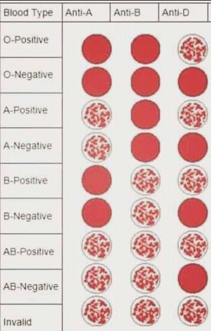 Type of blood human - MEDizzy