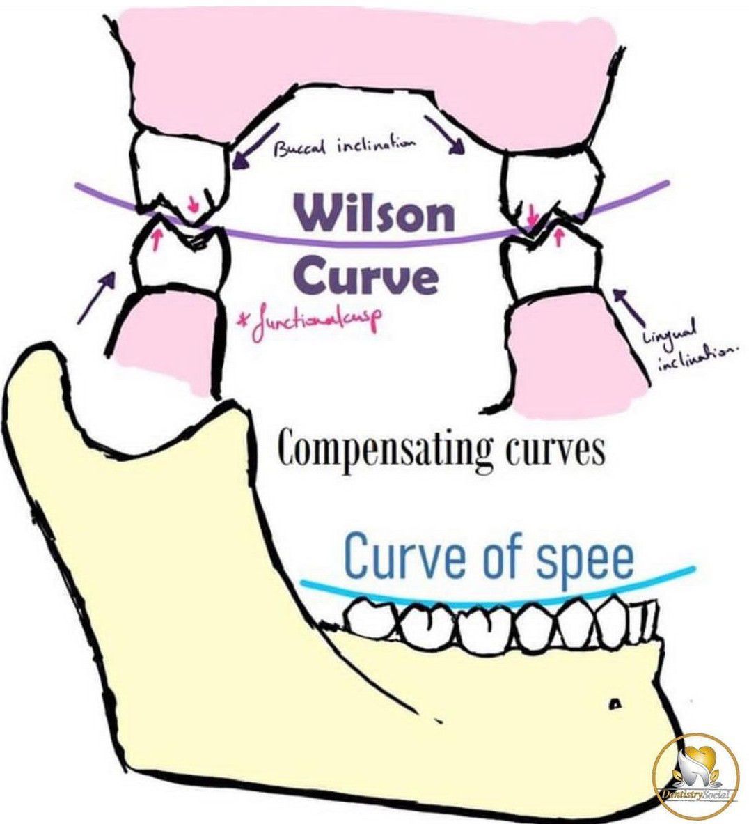 Important Curves - MEDizzy