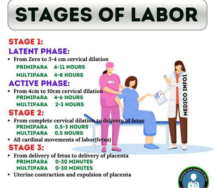 Stages Of Labor Cervical Dilation: The Stages Of Labor In Pictures
