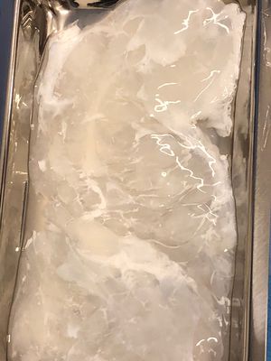 Decellularized pancreas - MEDizzy