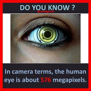 MEDICAL FACTS - MEDizzy