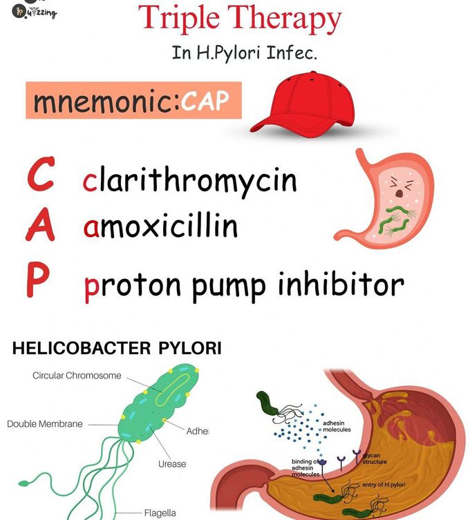 Triple Therapy - MEDizzy