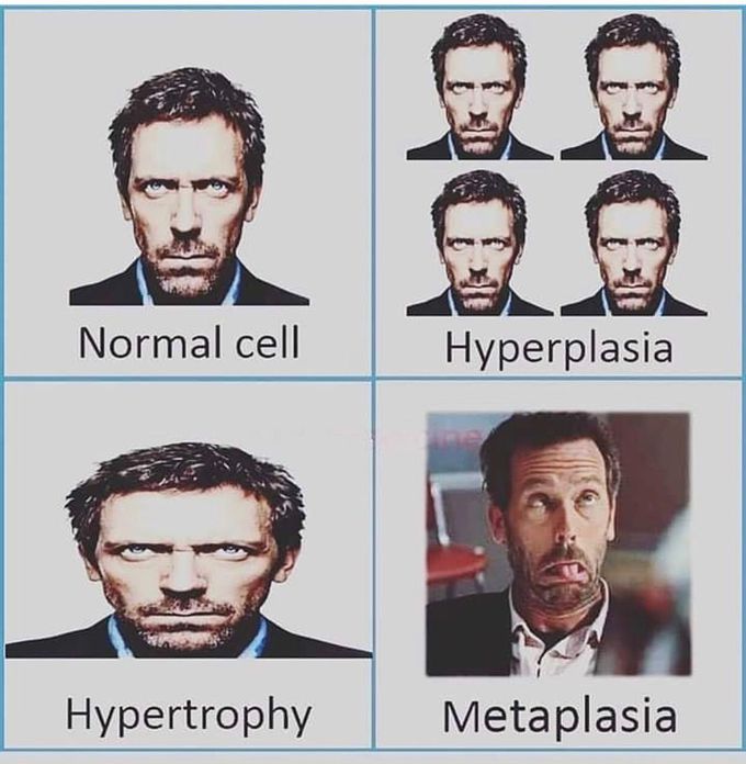 Cell type in pathology - MEDizzy