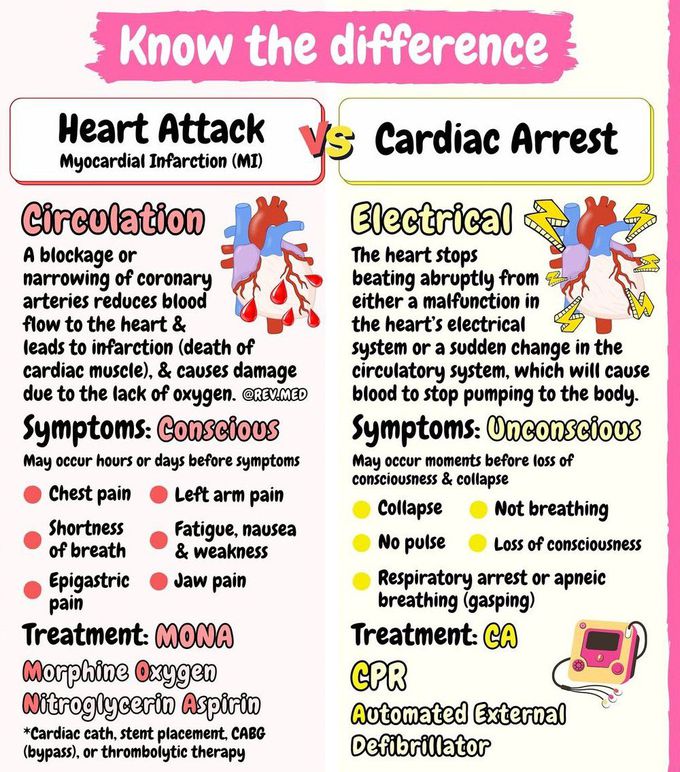 Heart Attack Vs Cardiac Arrest - MEDizzy