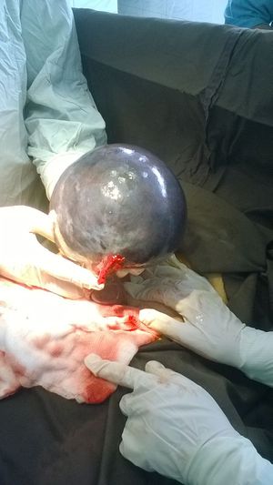 What is this? - MEDizzy