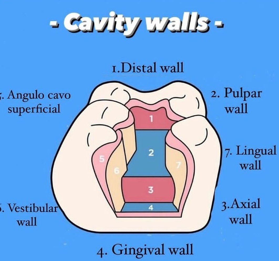 Cavity Walls - MEDizzy