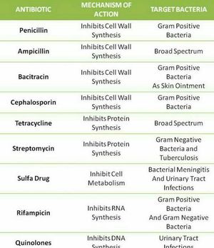 Sequence... - MEDizzy