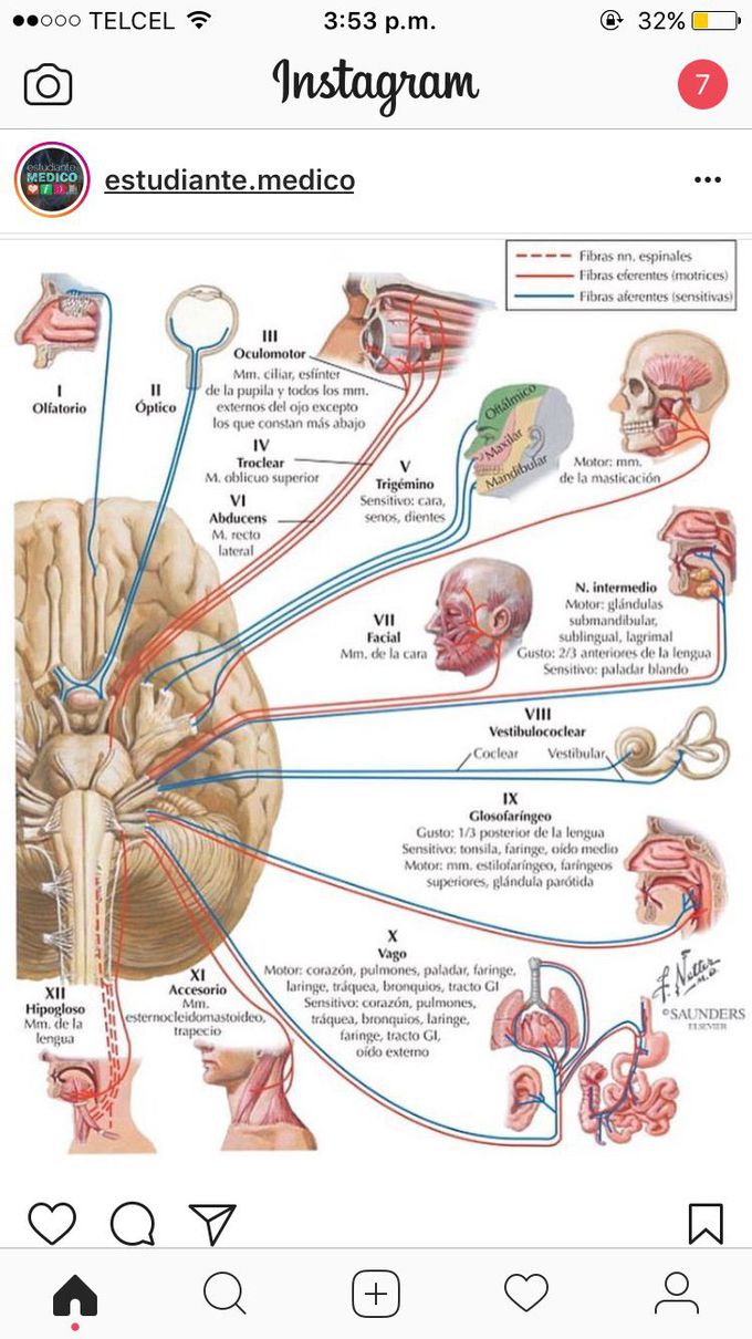 Post number 137506 - MEDizzy