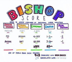 BISHOP SCORE - MEDizzy
