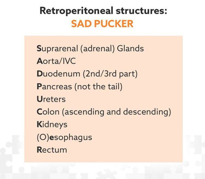 Retroperitoneal Organs List