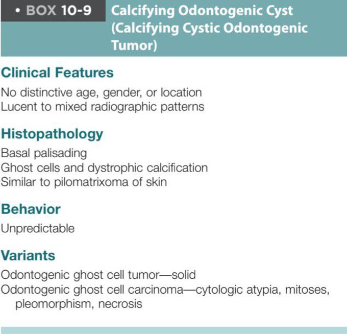 Calcifying odontogenic cyst - MEDizzy