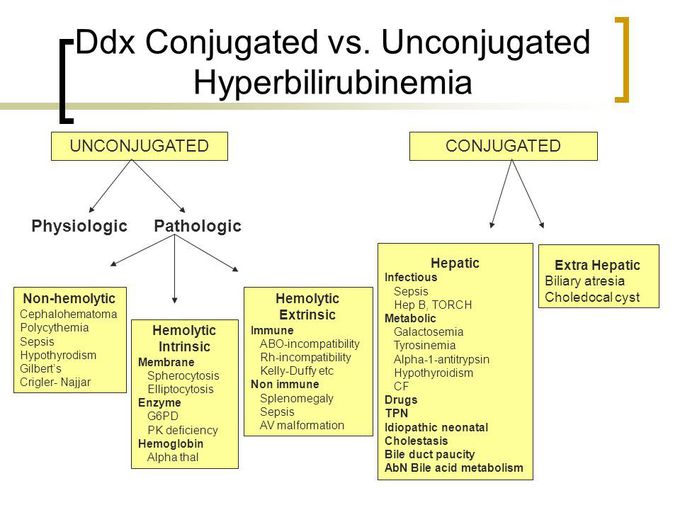 Conjugated Vs Unconjugated Hyperbilirubinemia MEDizzy