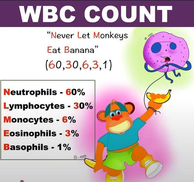 WBC Count - MEDizzy
