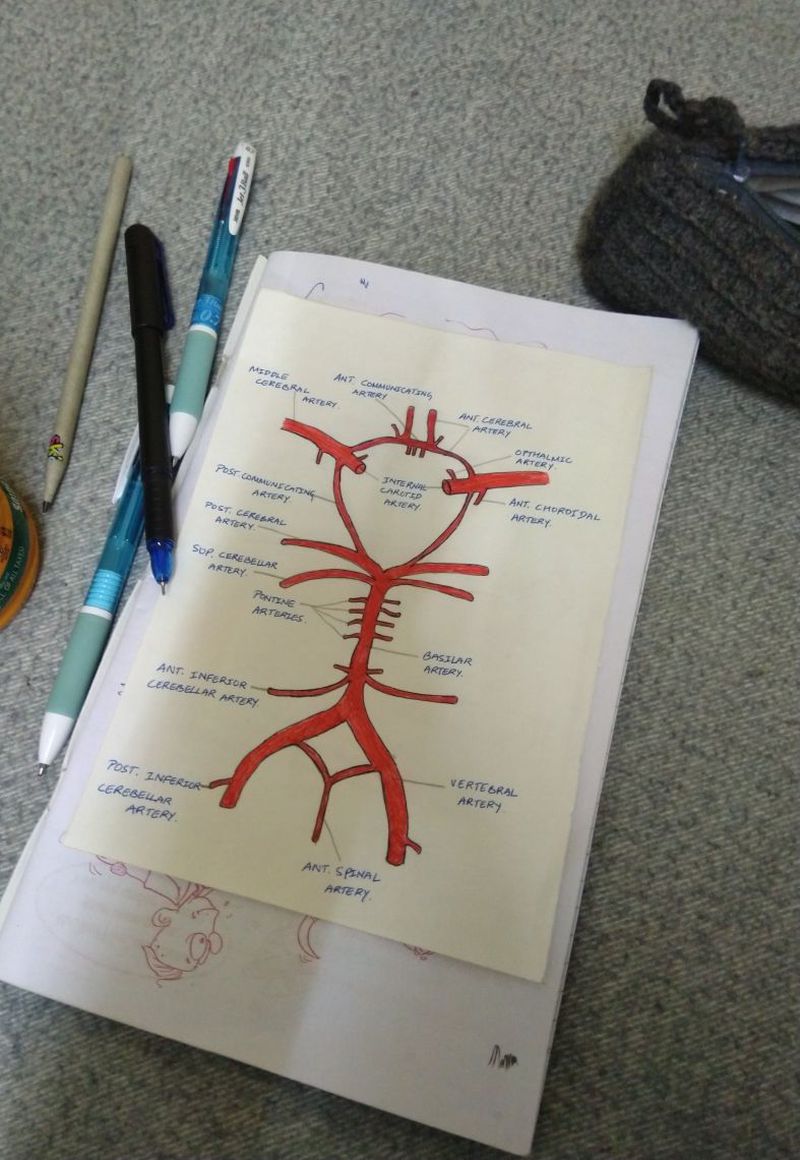 Study method - MEDizzy