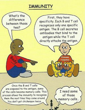 What is Immunity - MEDizzy