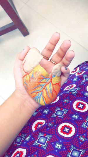 Heart model - MEDizzy