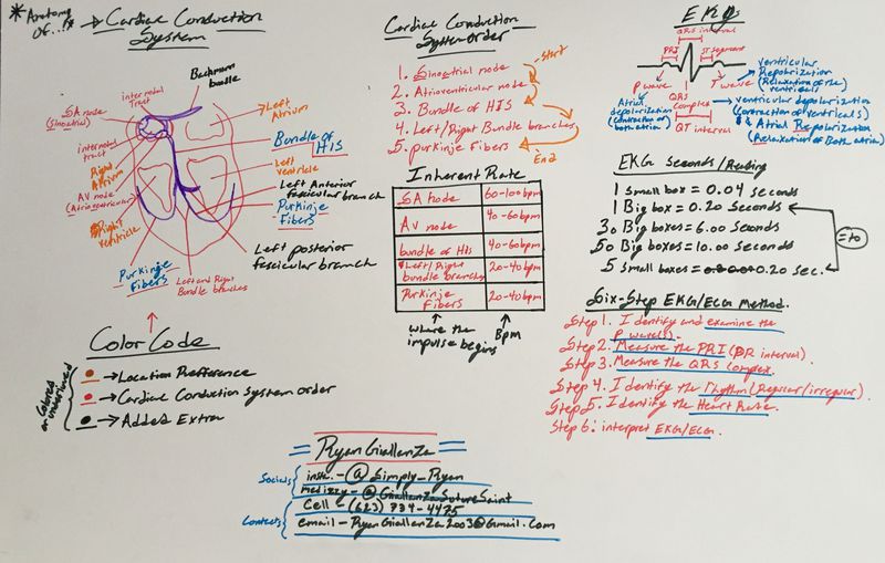 Cardiac Conduction / EKG interpretation - MEDizzy