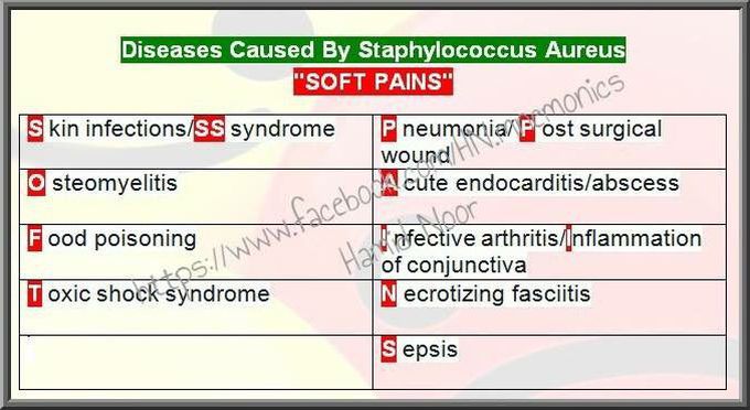 Diseases caused by staph aureus - MEDizzy