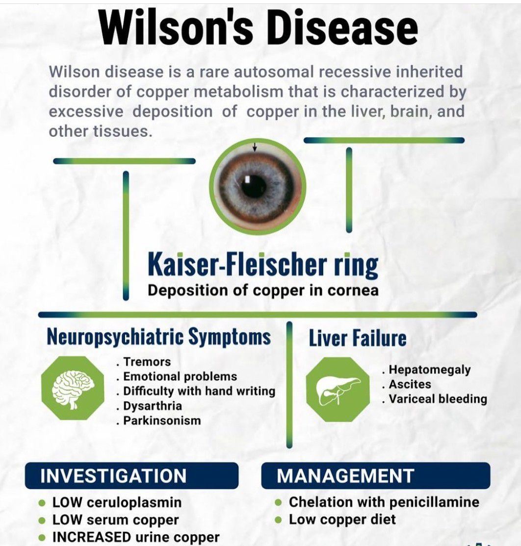 Wilson's Disease - MEDizzy