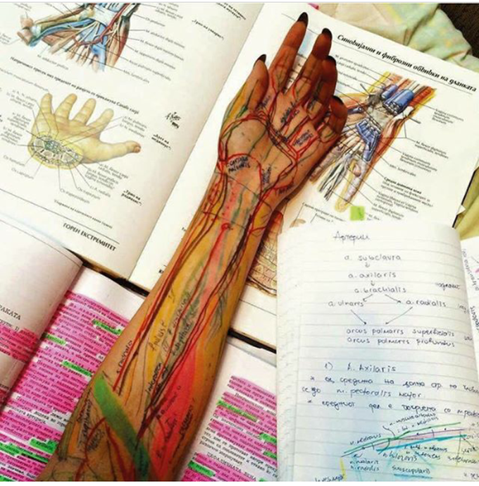 MEDizzy Creative Way To Learn ANATOMY The Human Hand Anatomy