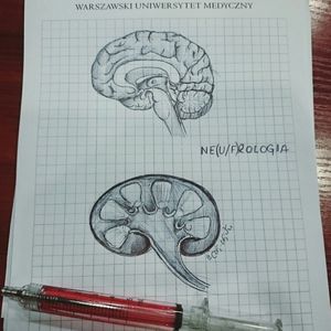 Post number 13314 - MEDizzy