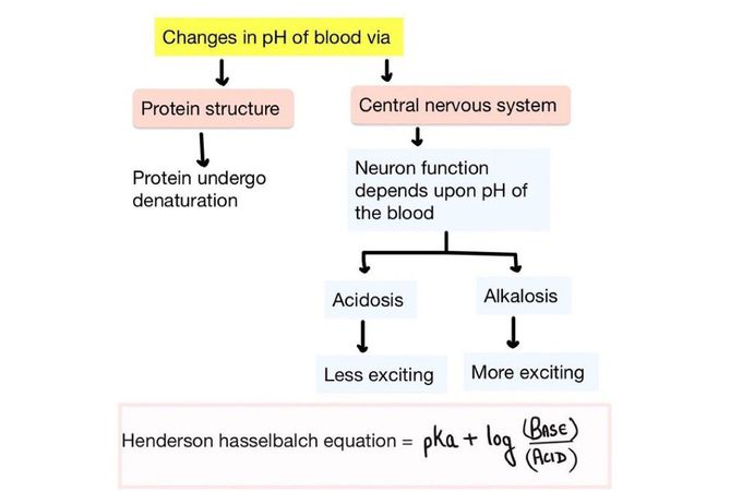 Acid Base Balance - MEDizzy