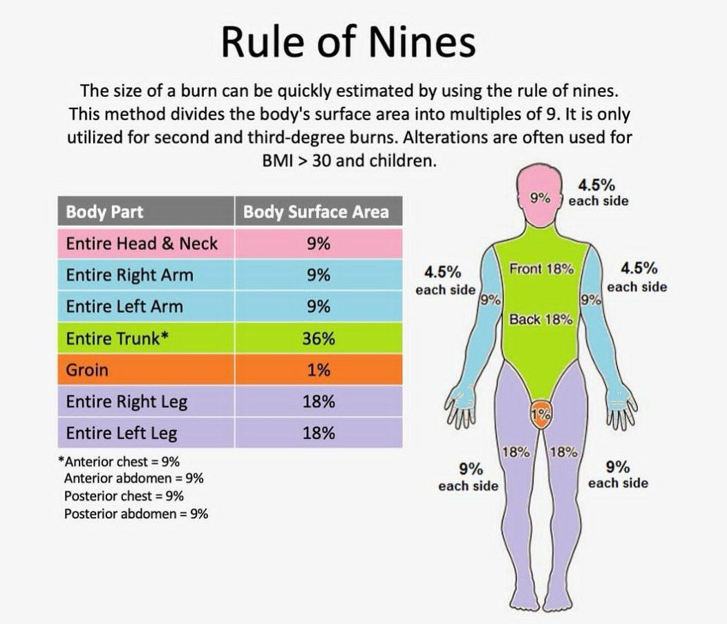 Rule Of Nine MEDizzy
